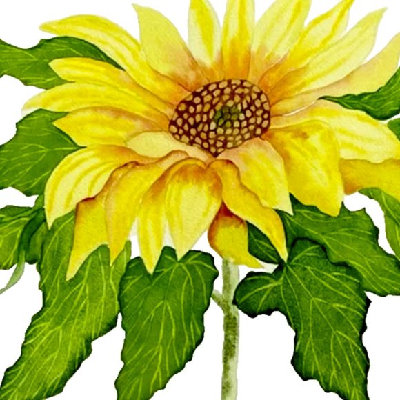 Hand Painted | Art | Watercolor Painting Original Art Sunflower Yellow ...